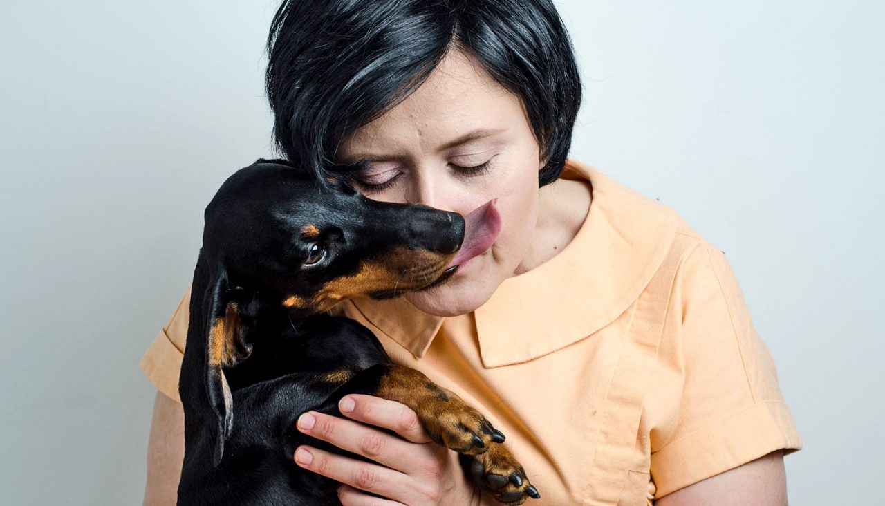 Los ensayos en perros con una enfermedad ocular hereditaria indican que ...